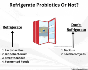Do Probiotics Need To Be Refrigerated? Not All Do - Probiotic Review Girl
