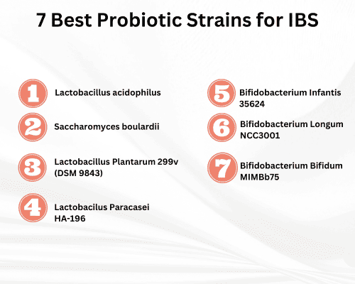 7 Best Probiotics For IBS, According to a Gastroenterologist ...